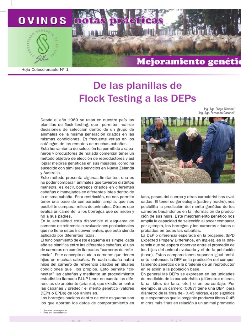 01-Mejoramiento-Genético - de Las Planillas de Flock Testing A Las DEPs ...