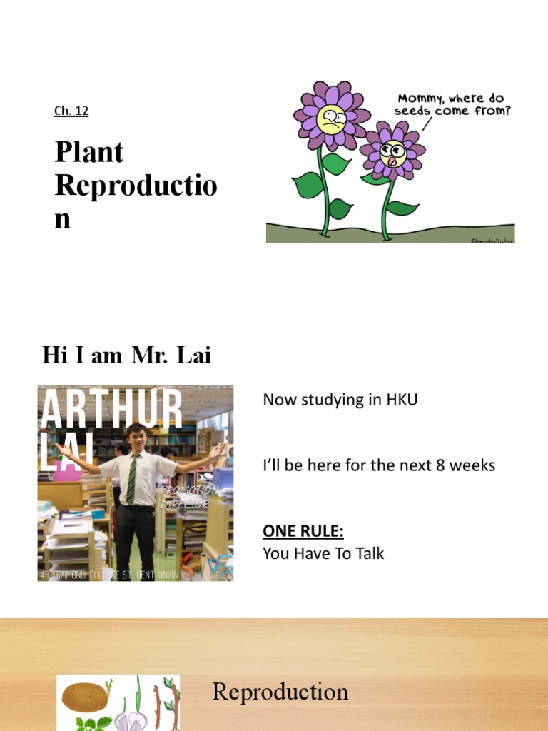 CH 12 Plant Reproduction | PDF | Flowers | Pollination