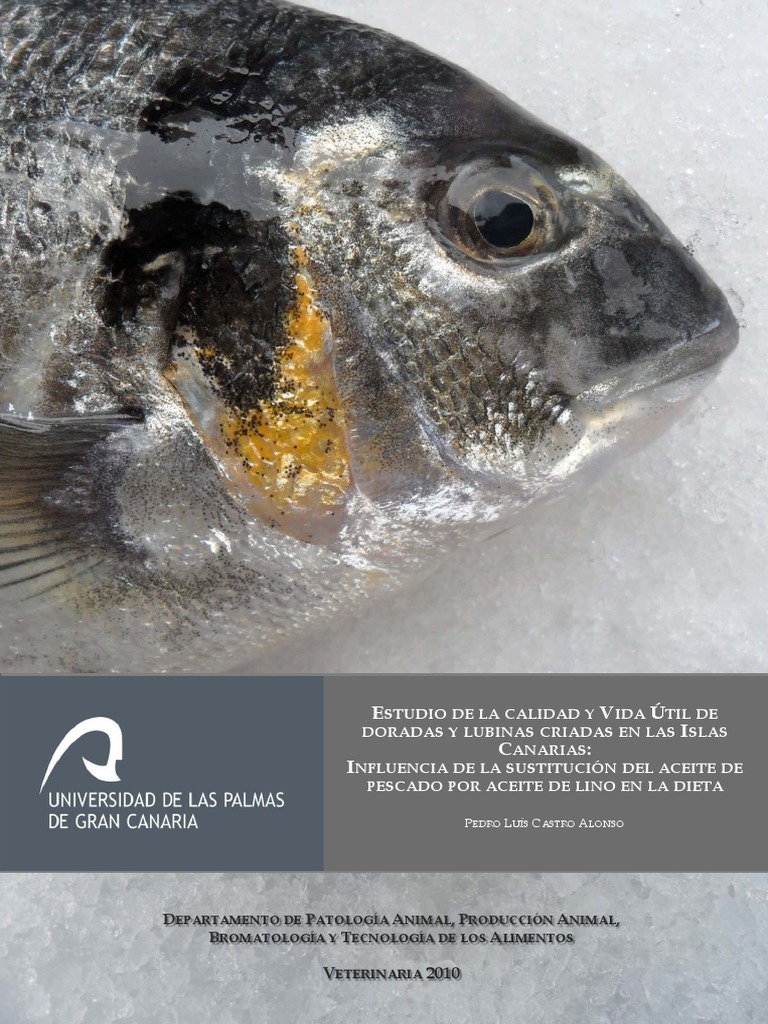 Quality Index Method - 63 | PDF | Acuicultura | Carne