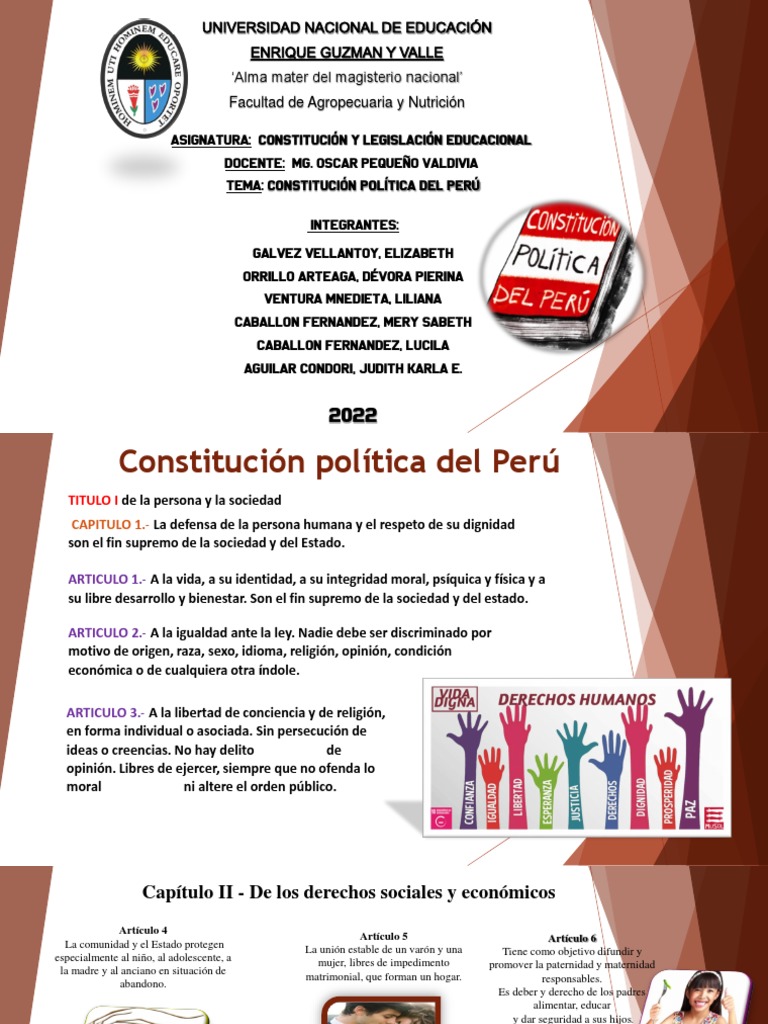 Constitución Política Del Perú Pdf Estado Política Perú