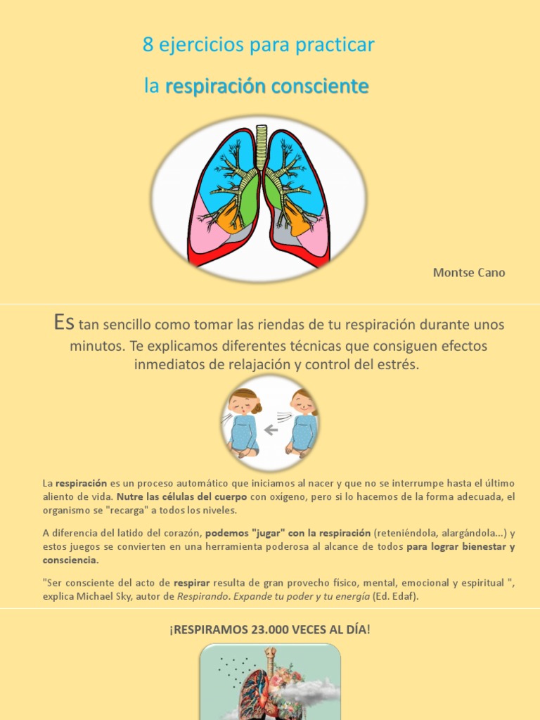 8 Ejercicios de Respiración Consciente | PDF | Respiración | Fisiologia ...