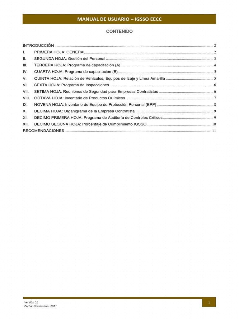 Manual de Usuario IGSSO EECC 2021 | PDF | Auditoría | Business