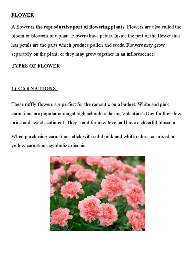 Flower | PDF | Flowers | Rose
