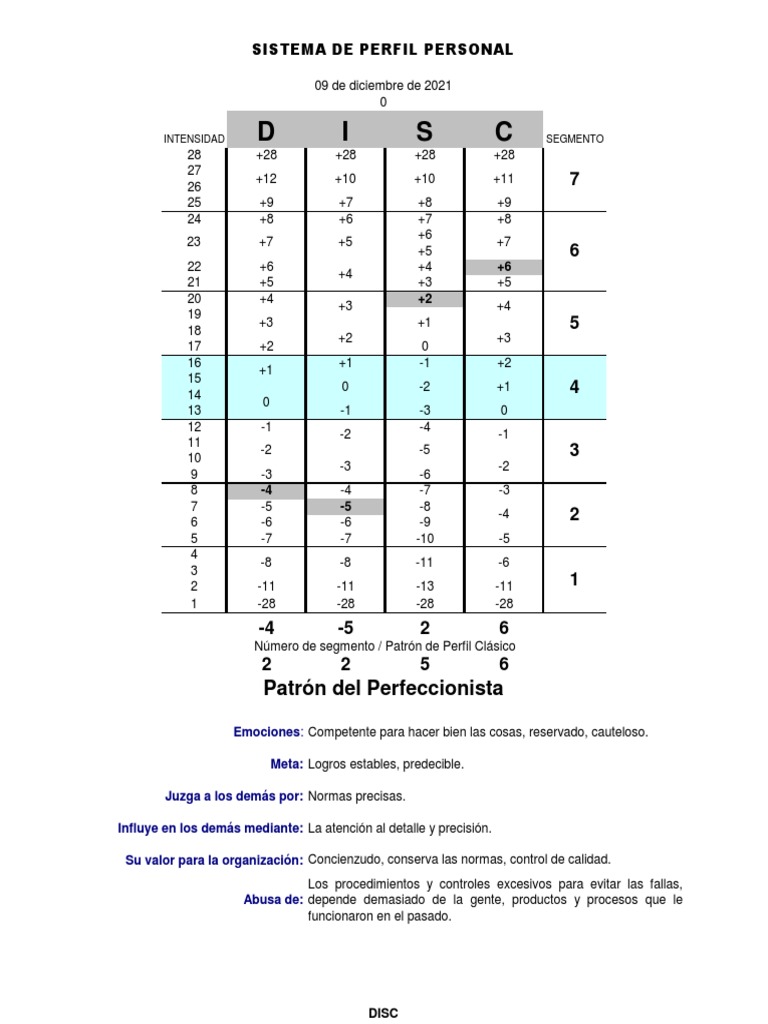 Prueba Disc Excel 2 | PDF | Cognición