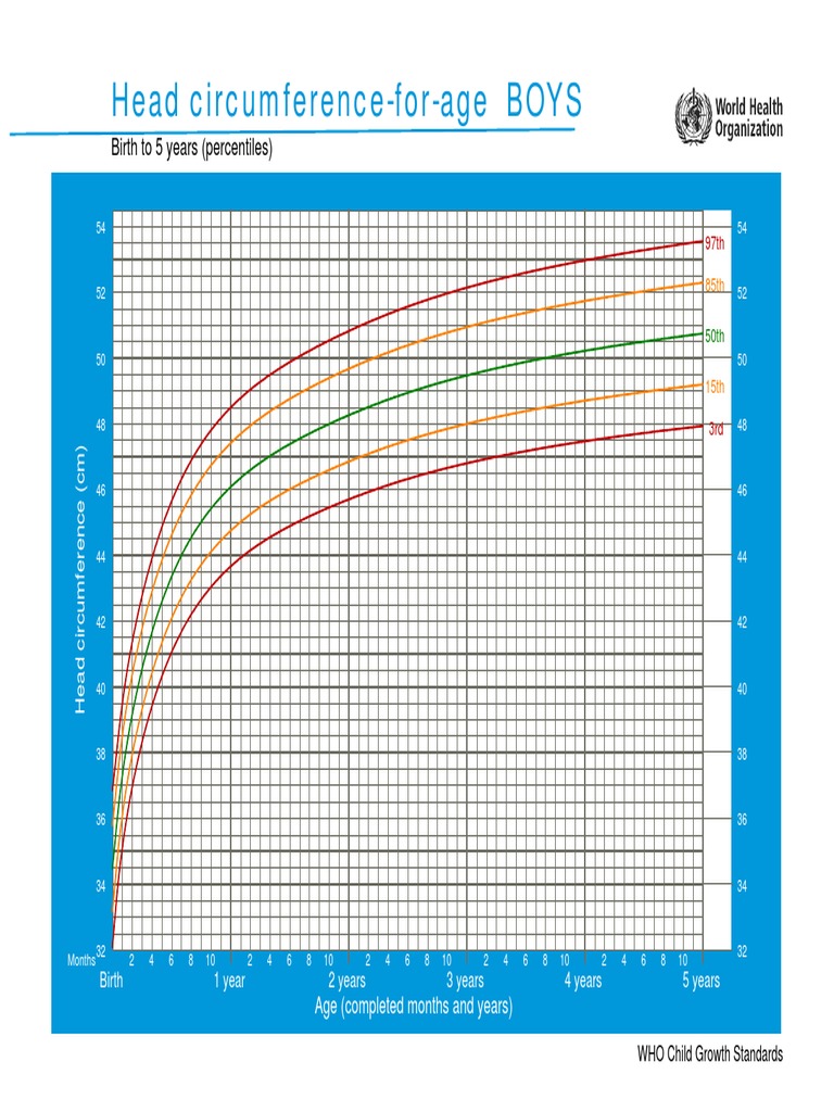 Head Circumference-For-Age BOYS: Birth To 5 Years (Percentiles) | PDF