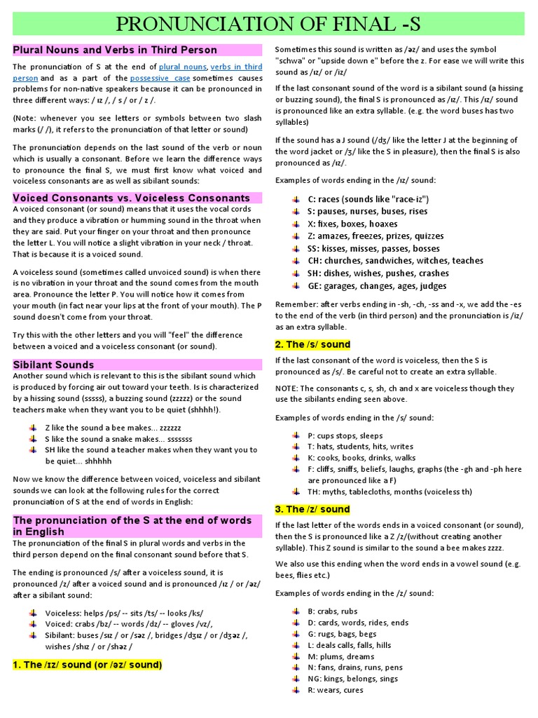 Plural Nouns Verbs in Third Person Possessive Case | PDF | Human Voice ...