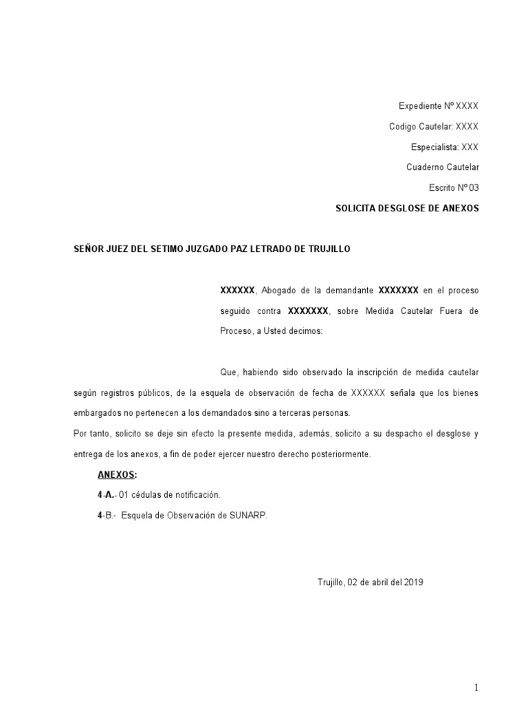 Solicita Desglose de Anexos | PDF