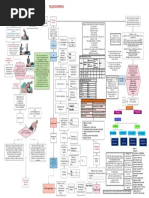 Protocolo ROSE | PDF | Reanimación cardiopulmonar | Medicina