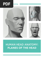 Morpho Simplified Forms Anatomy For Artists | PDF