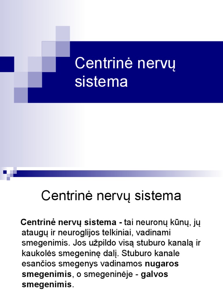 Centrine Nervu Sistema - 1 - Kopija | PDF