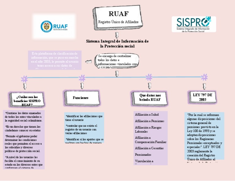 Ruaf Mapa | PDF | Bienestar | Pensión