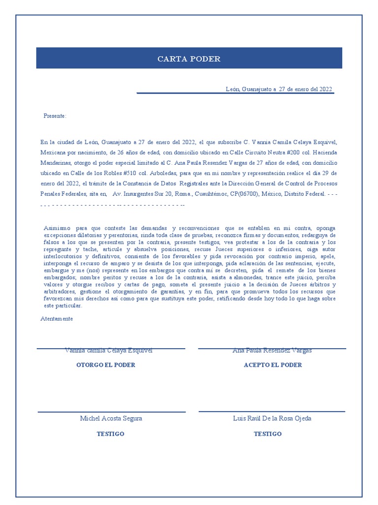 Carta Poder Simple Word | PDF | Ley Pública | Gobierno