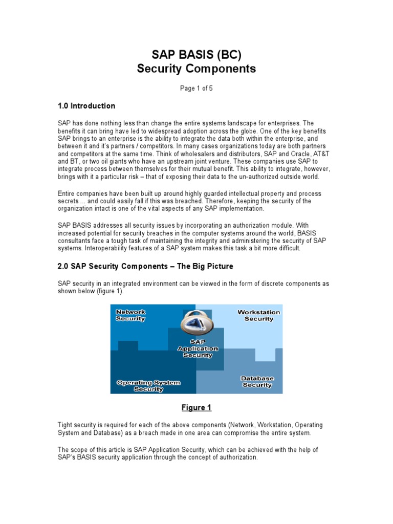 SAP BASIS Security Components | PDF | Audit | Password
