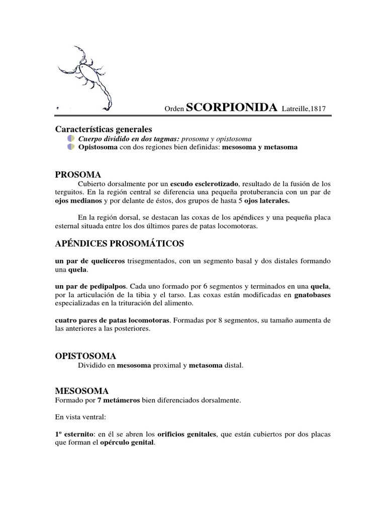 Orden Scorpionida Latreille, 1817 | PDF | Sistema reproductivo | Artrópodos