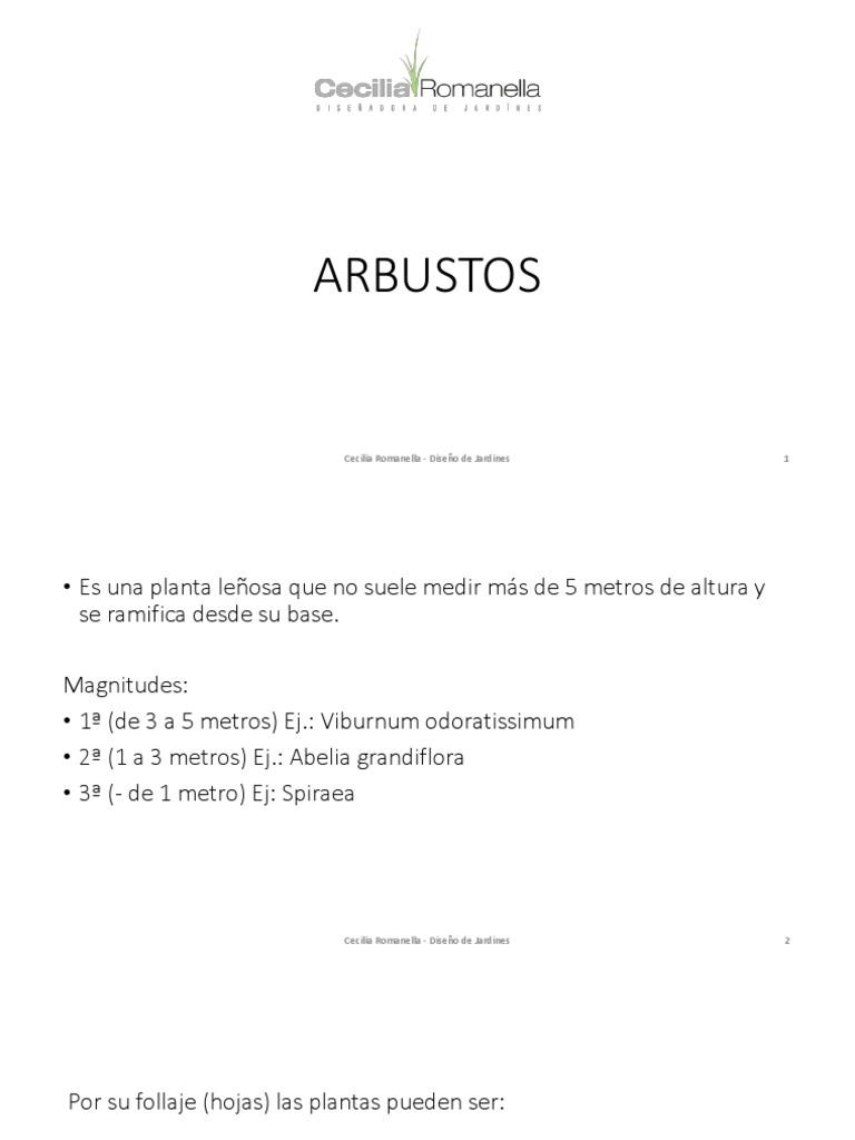 Guía de Arbustos para Jardines | PDF | Romero | Horticultura y jardinería