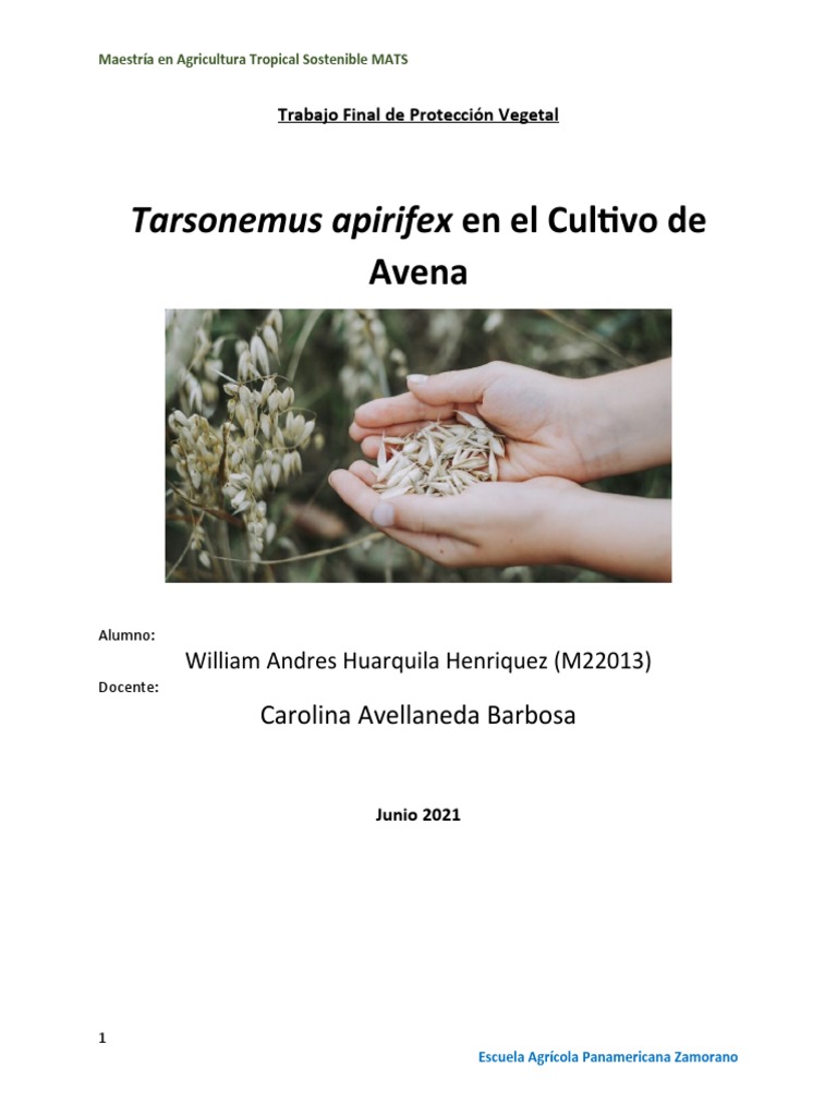 Tarsonemus apirifex en Avena: Control y Cultivo | PDF | Cereales | Avena