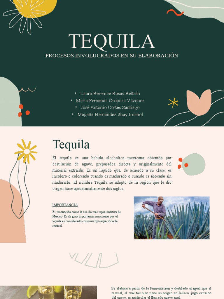 Elaboración Del Tequila | PDF | Bebidas alcohólicas | Bebidas Fermentadas