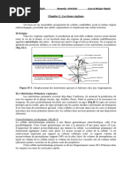 Cours 2-La Paroi Pectocellulosique PDF | PDF | Paroi cellulaire | Lignine