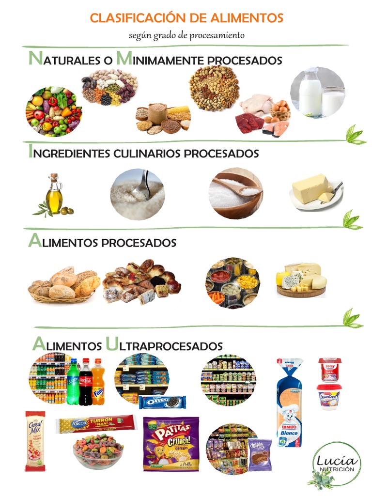 Clasificacion de Alimentos | PDF