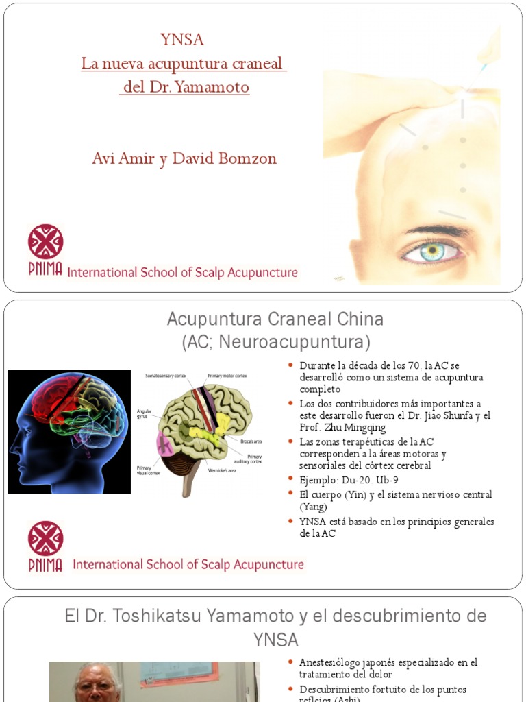presentación YNSA versión castellana | PDF | Acupuntura | Cerebro