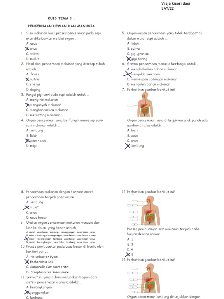 Kuis Ipa Tema 3 | PDF