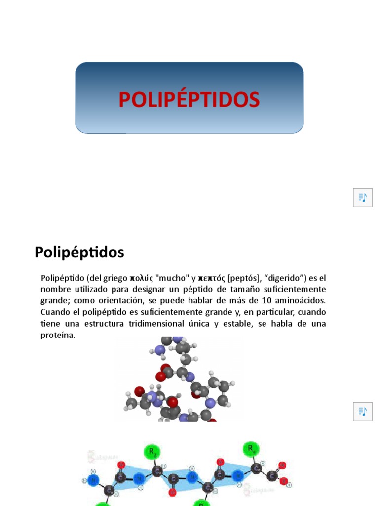 Polipeptidos 1 | PDF