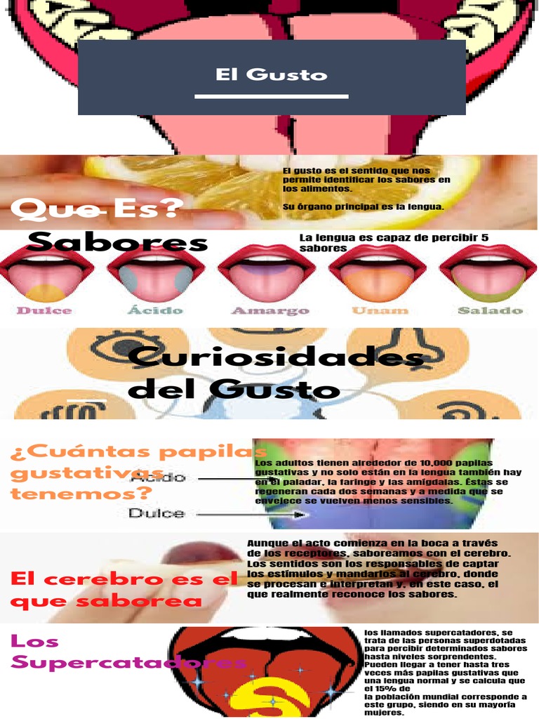 El Gusto | PDF | Gusto | Sabor