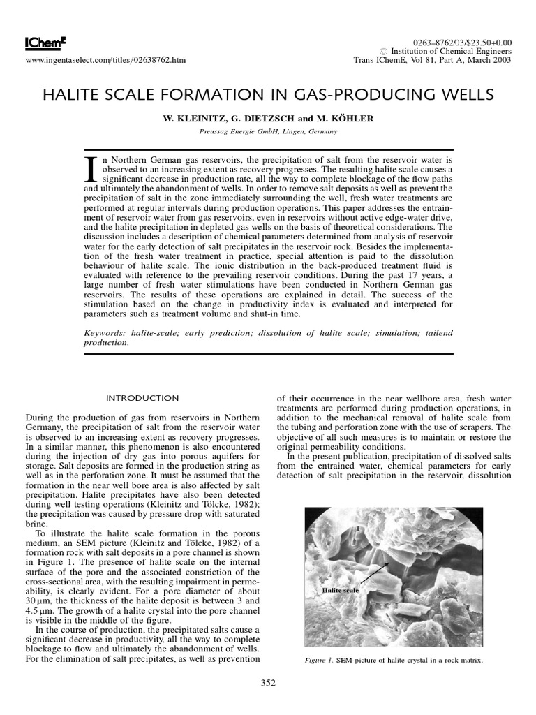 Halite Scale Formation in Gas-Producing Wells | PDF | Water | Petroleum ...