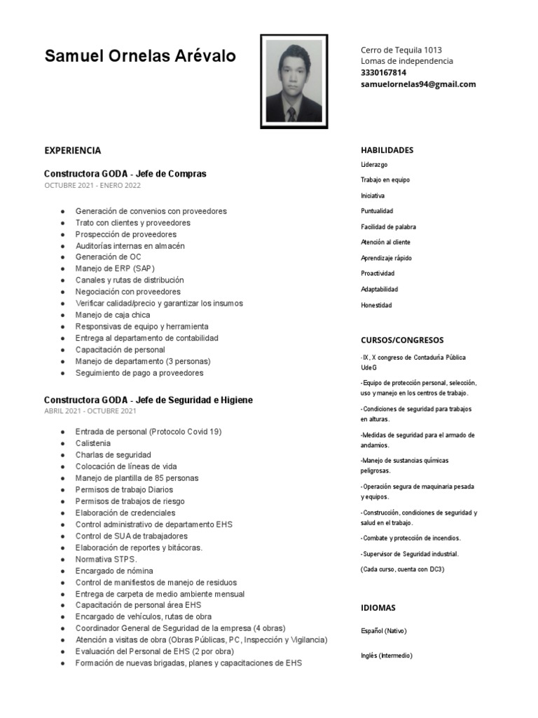 CV Samuel Ornelas | PDF | Economias | Business