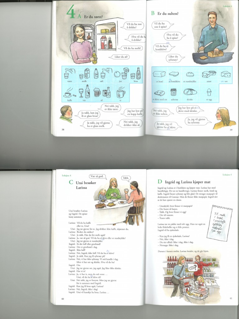 Ny I Norge - Tekstbok - Leksjon 04 | PDF