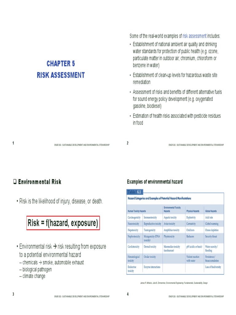 Risk Assessment: Risk F (Hazard, Exposure) | PDF | Environmental ...