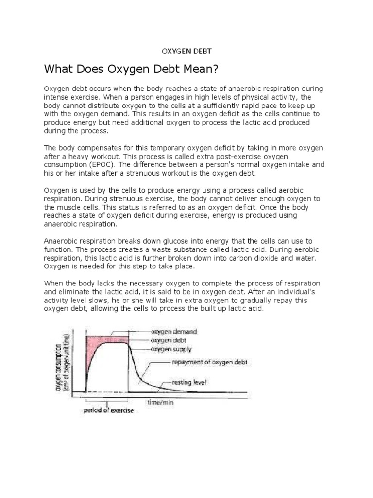 Understanding Oxygen Debt in Exercise | PDF