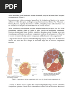 Neonatal Energy Triangle Part 1 | PDF | Hypoglycemia | Health Sciences