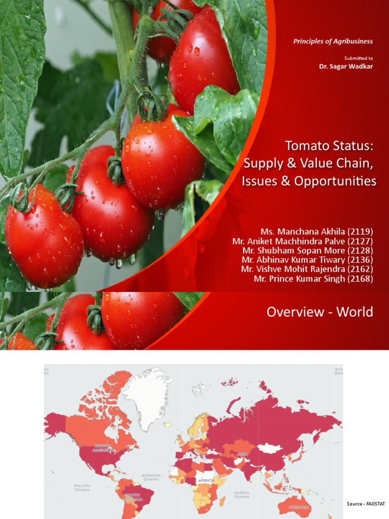 Tomato Status: Supply & Value Chain, Issues & Opportunities | PDF ...