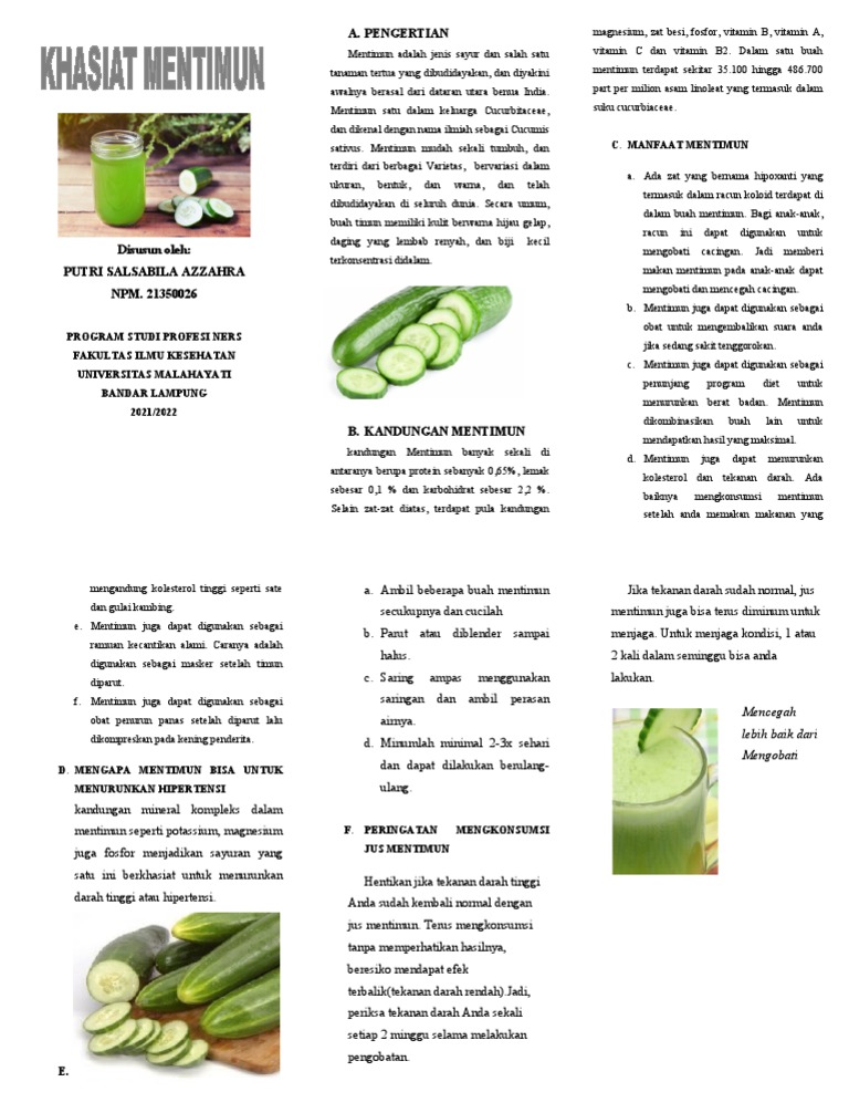 Leaflet Mentimun Bila | PDF