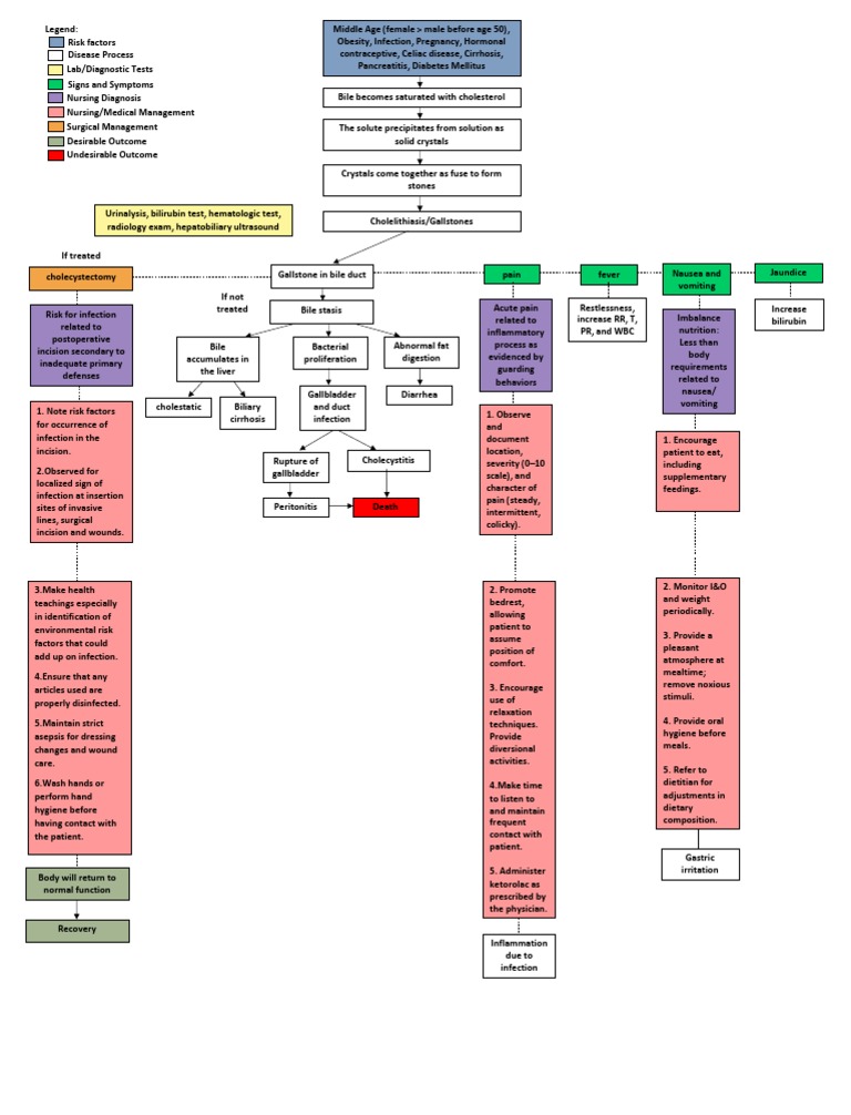 Pathophysiology of Cholelithiasis | PDF | Medical Specialties ...