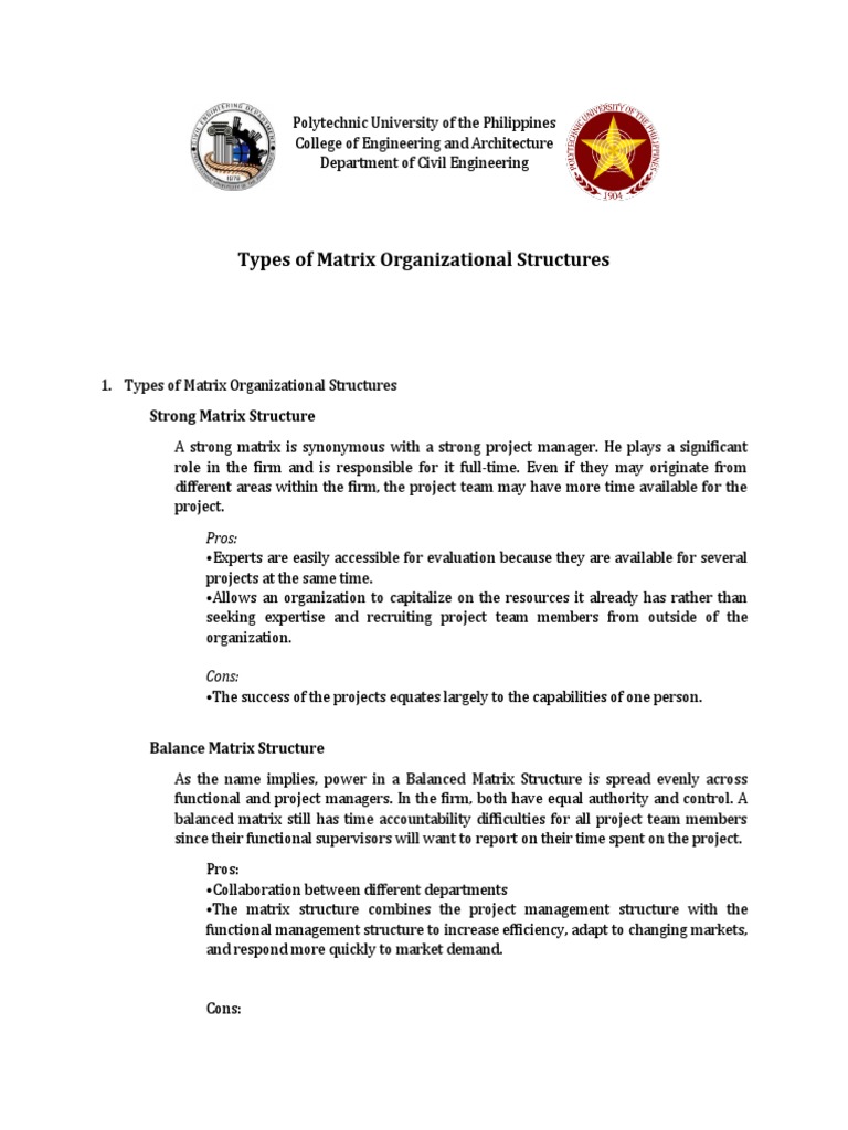 Types of Matrix Organizational Structures | PDF | Organizational ...