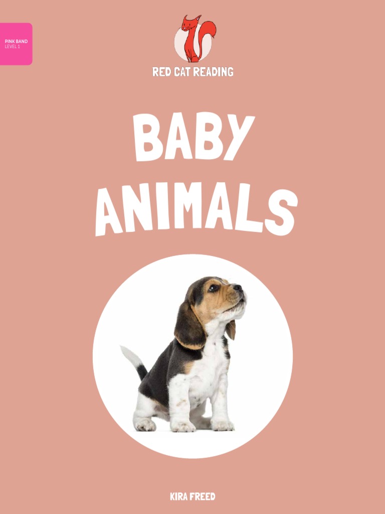 Red Cat Reading Level 1 Baby Animals | PDF | Color | Artistic Techniques