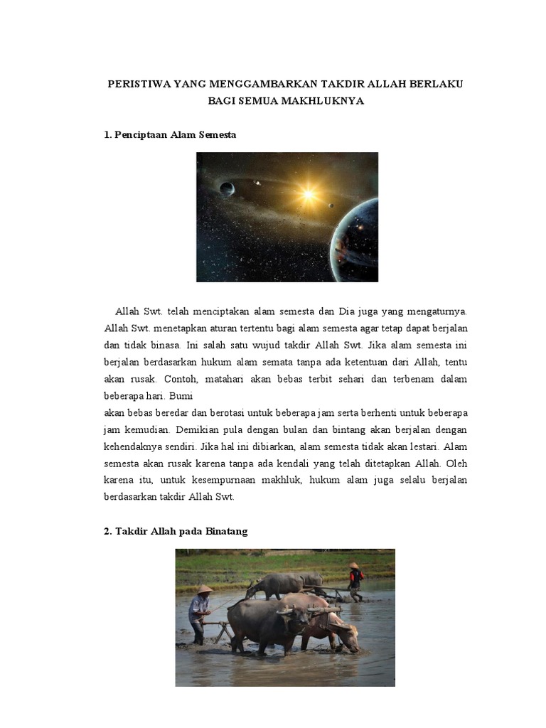 Contoh Takdir Allah dalam Kehidupan | PDF