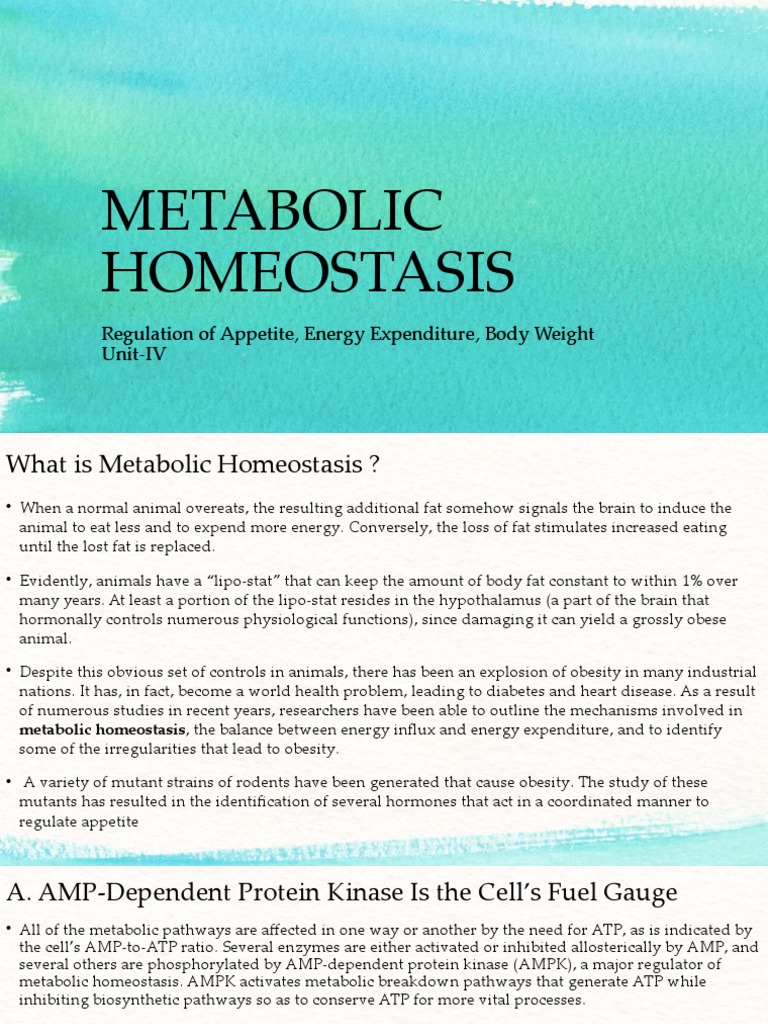 Metabolic Homeostasis: Regulation of Appetite, Energy Expenditure, Body ...