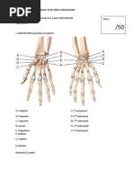 096-T04 A WristHand MM | PDF | Finger | Anatomical Terms Of Motion