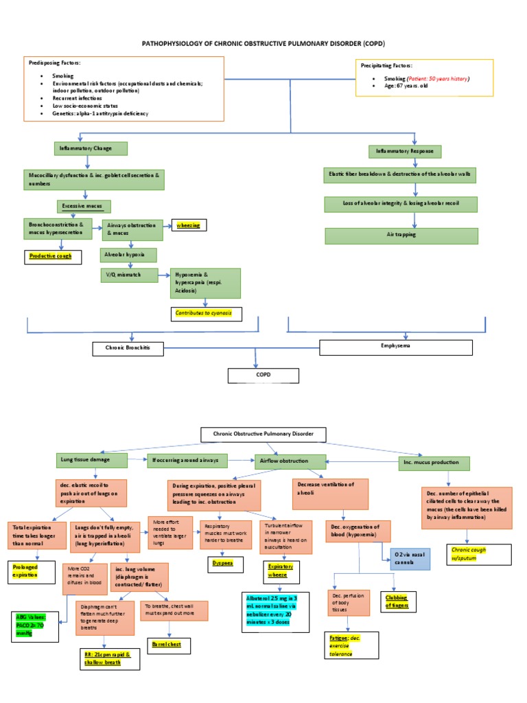 COPD Pathophysiology Overview | PDF | Chronic Obstructive Pulmonary ...