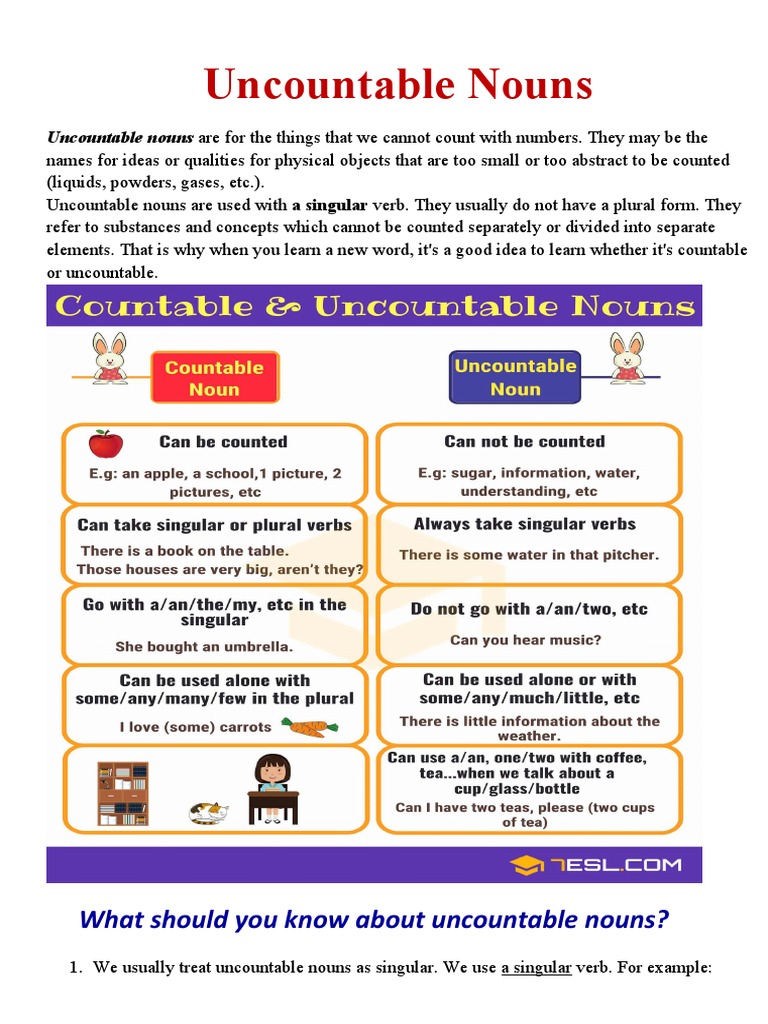 Uncountable Nouns | PDF | Noun | Grammatical Number