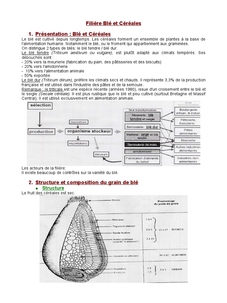 Types de Blé et Céréales en France | PDF | Blé | Céréale