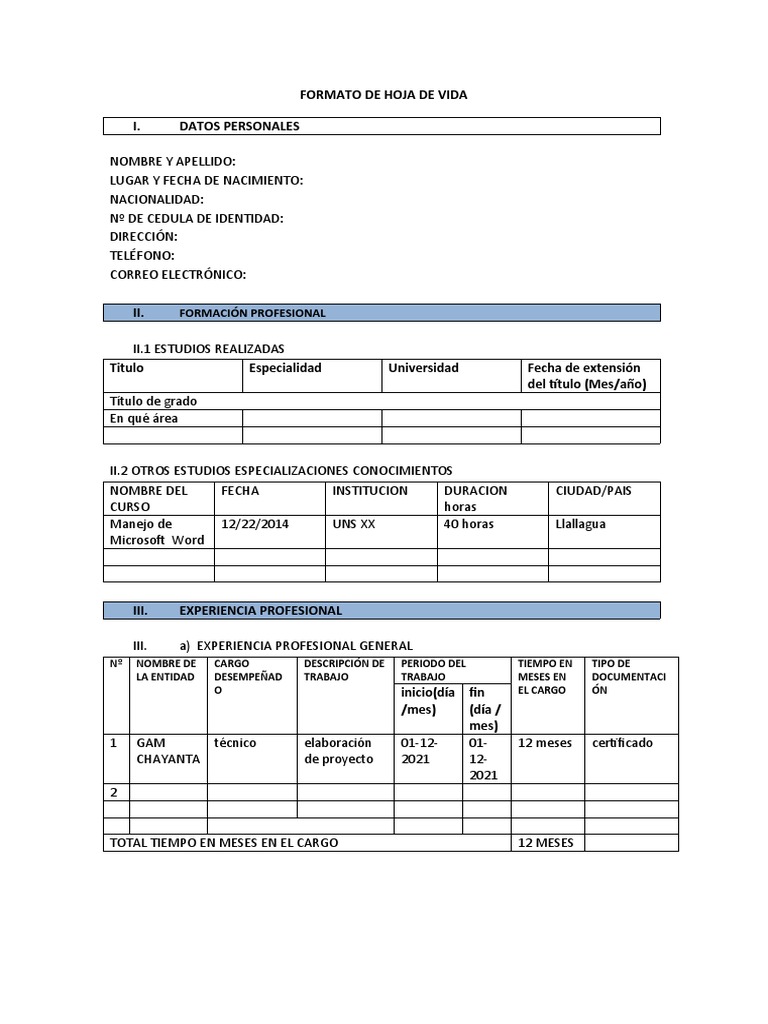 Formato de Hoja de Vida | PDF | Informática