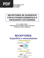Receptores Con Actividad Enzimática | PDF | Receptor (Bioquímica ...