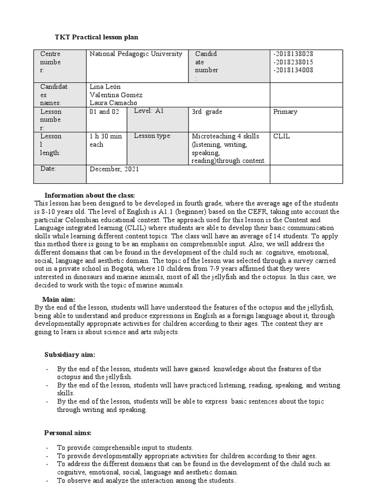 TKT Practical Lesson Plan Template | PDF | Lesson Plan | Vocabulary