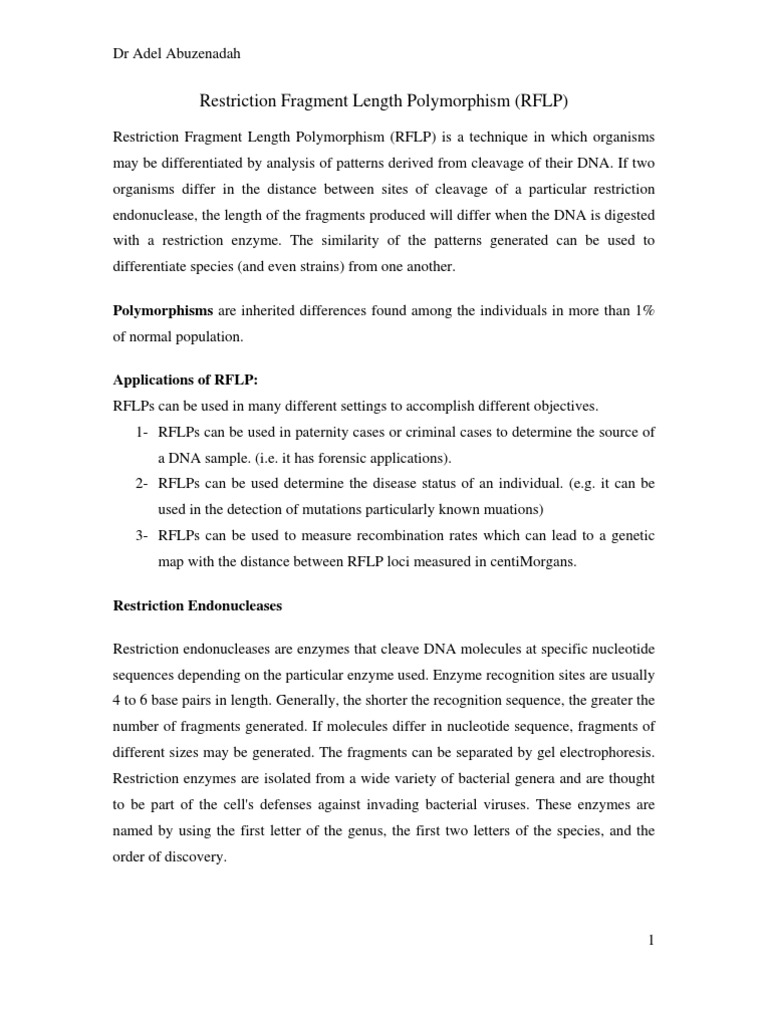 Restriction Fragment Length Polymorphism | Download Free PDF ...