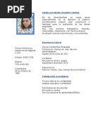 Curriculum Vitae Noelia 01 | PDF