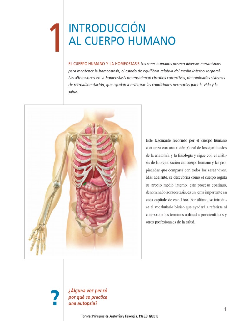 Capitulo 1 Libro | PDF